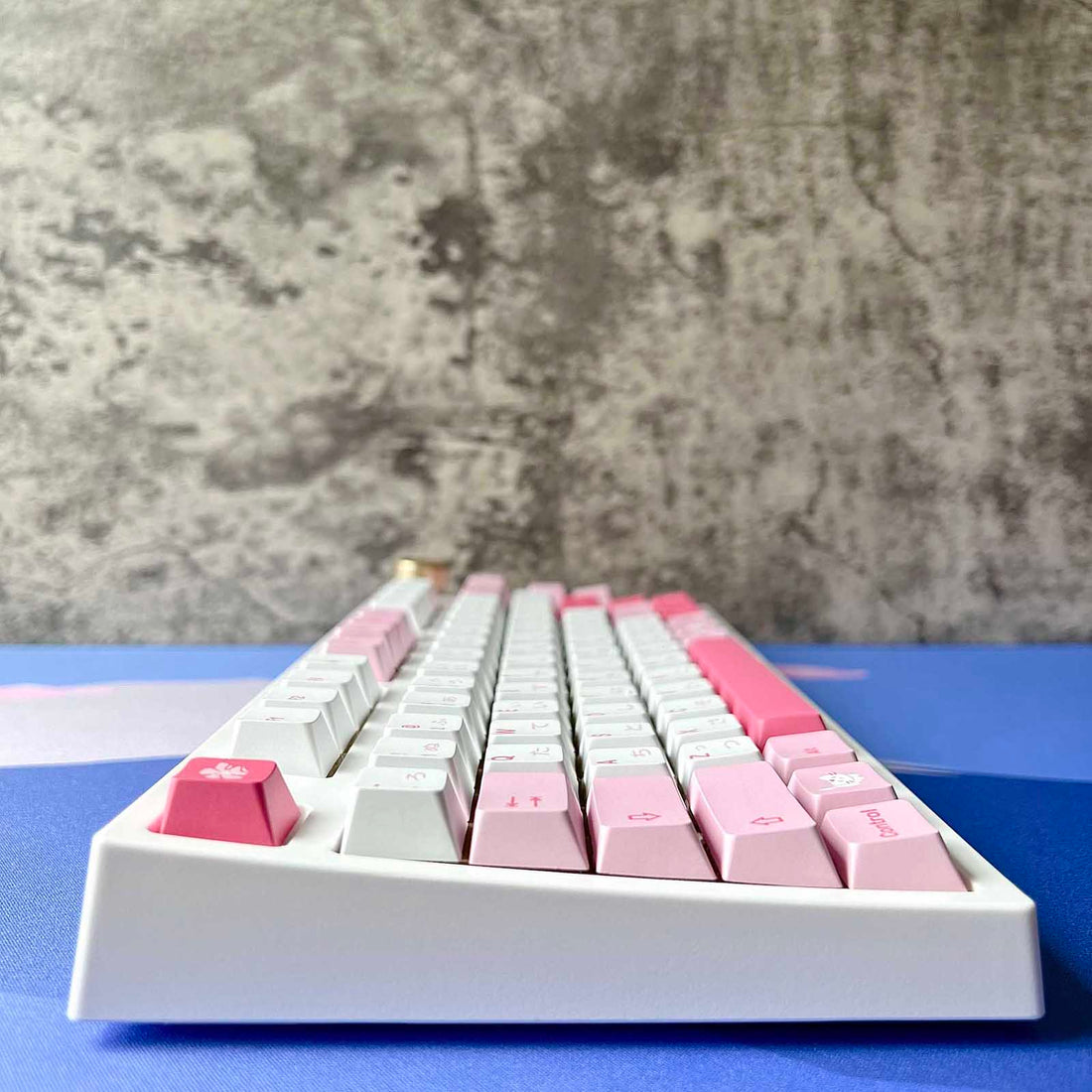 Sakura Neko Keycap Set – Taro Depato